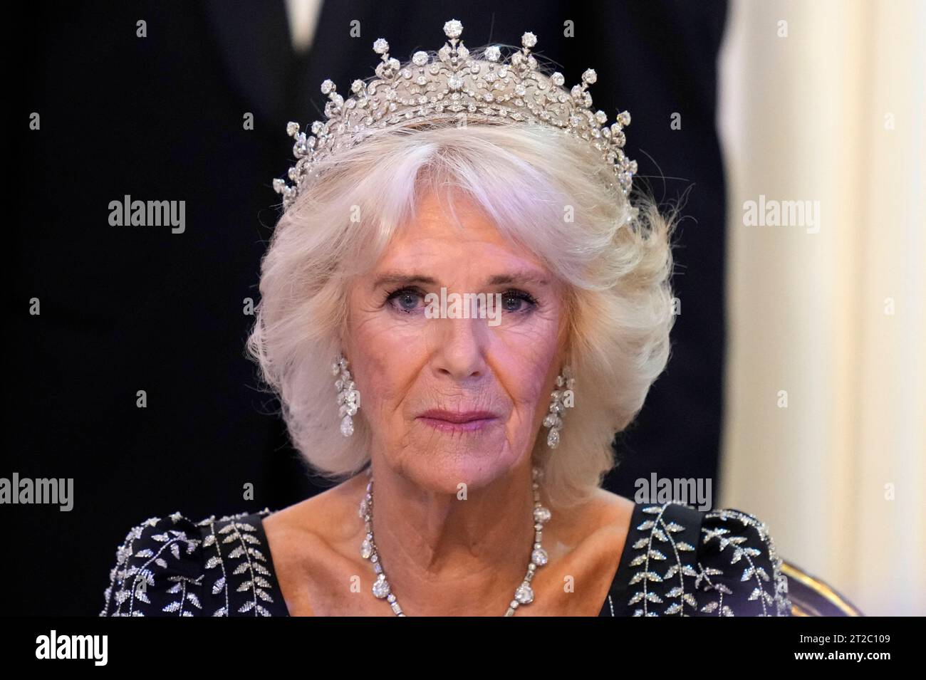 La regina Camilla partecipa a una cena alla Mansion House di Londra ...