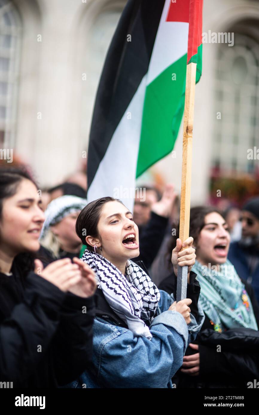 Palestine flag united nation immagini e fotografie stock ad alta ...