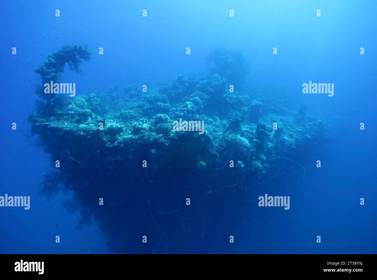 A picture shows the Shinkoku Maru, an oil tanker, sunk lying 38 meters ...