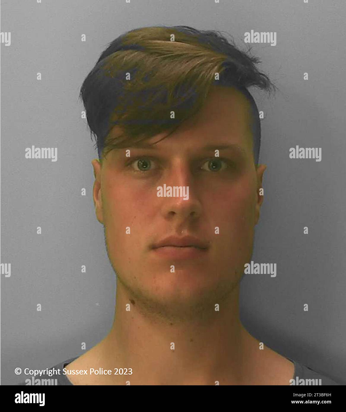 Foto non datata emessa dalla polizia Sussex di Charles Durdle, al quale ...