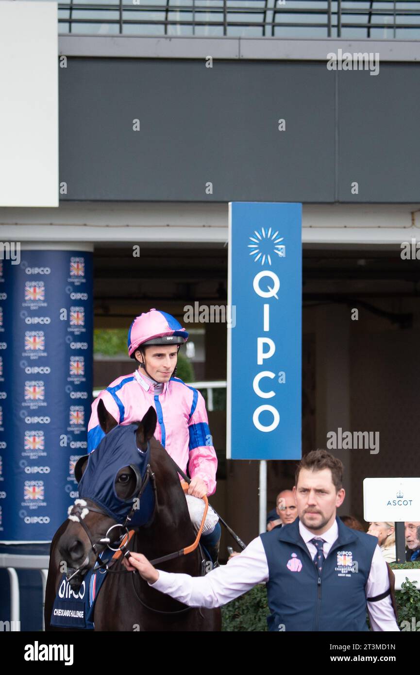 William knight racing ltd immagini e fotografie stock ad alta ...