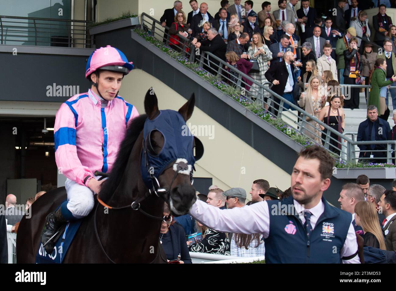 William knight racing ltd immagini e fotografie stock ad alta ...