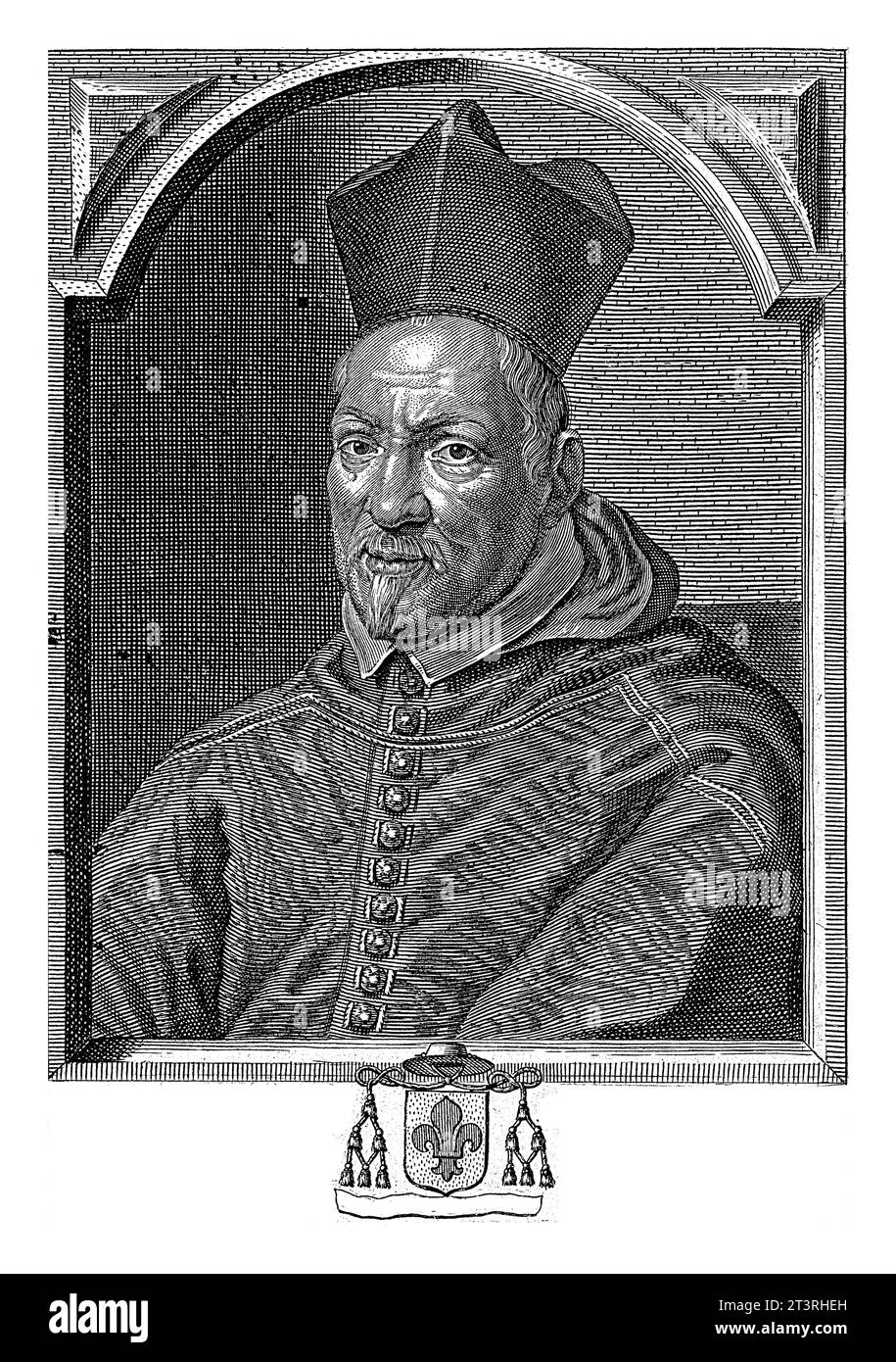 Vescovo di namur immagini e fotografie stock ad alta risoluzione - Alamy