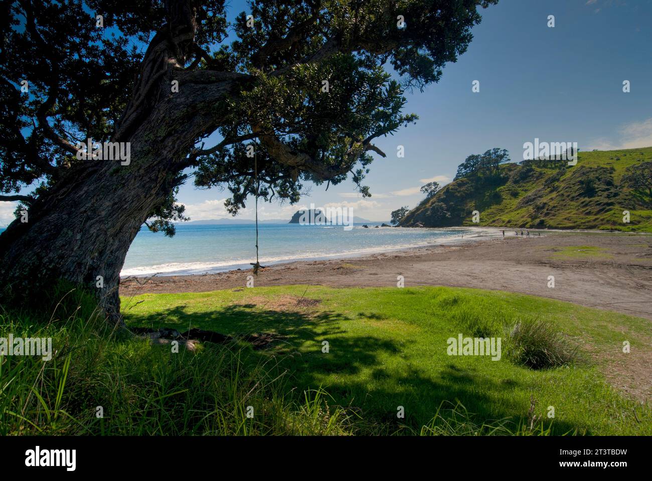 Dottore fletcher immagini e fotografie stock ad alta risoluzione - Alamy