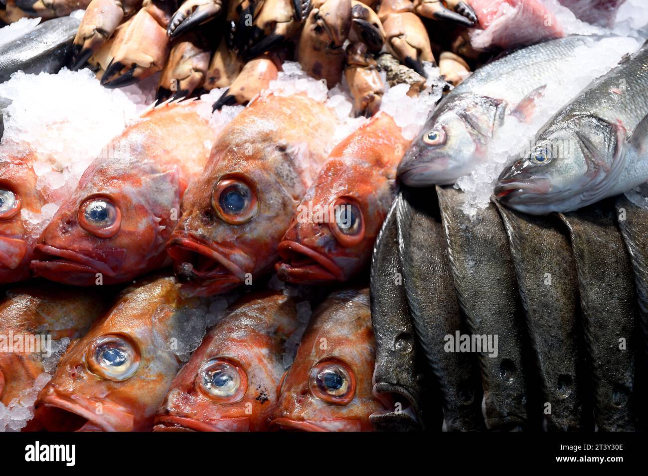 Copenhagen, Danimarca /27 ottobre. 2023/negozi di pesce o di pesce a ...