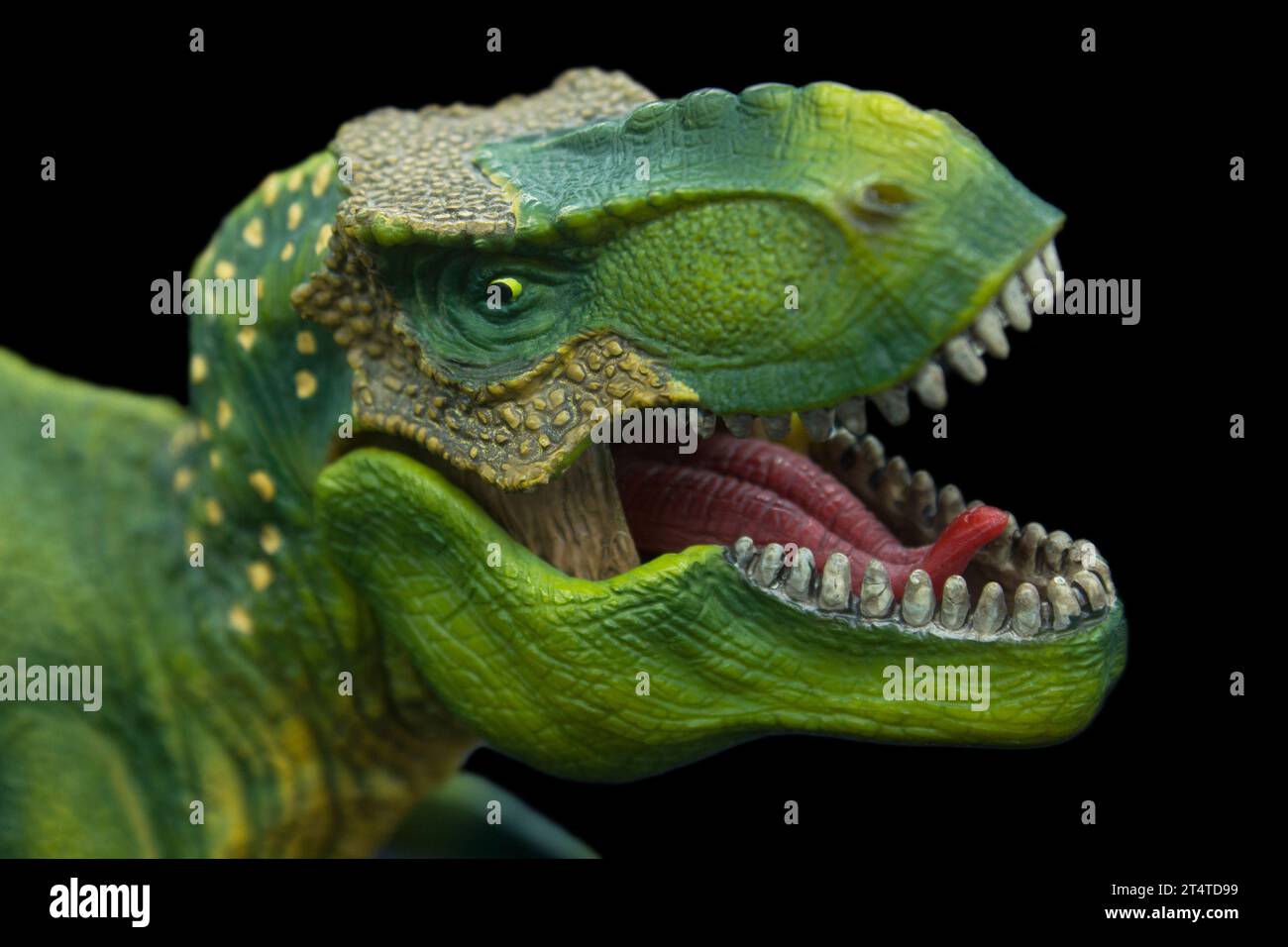 Tyrannosaur tyrannosaurus rex immagini e fotografie stock ad alta ...