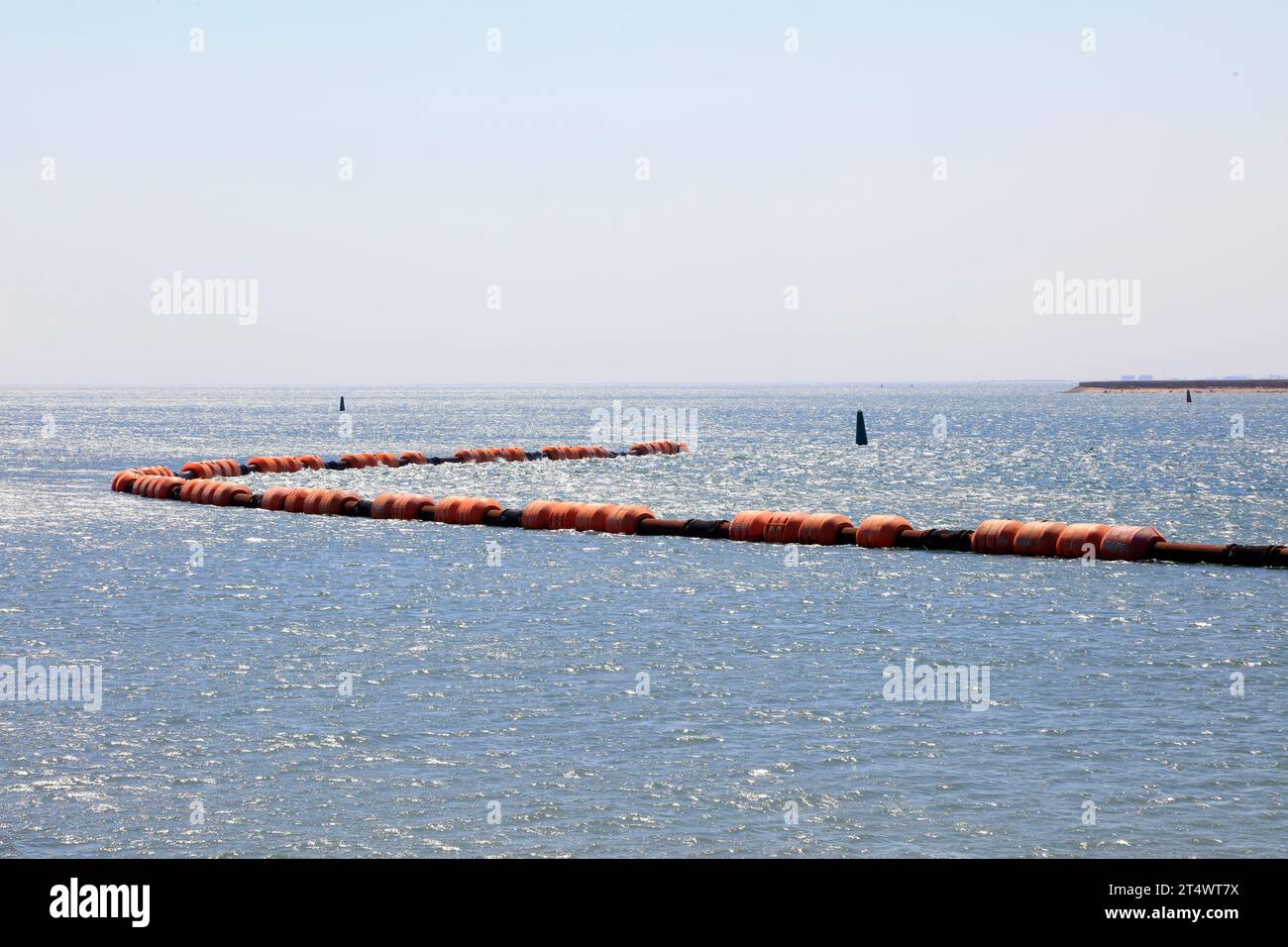 Boa nel mare immagini e fotografie stock ad alta risoluzione - Alamy