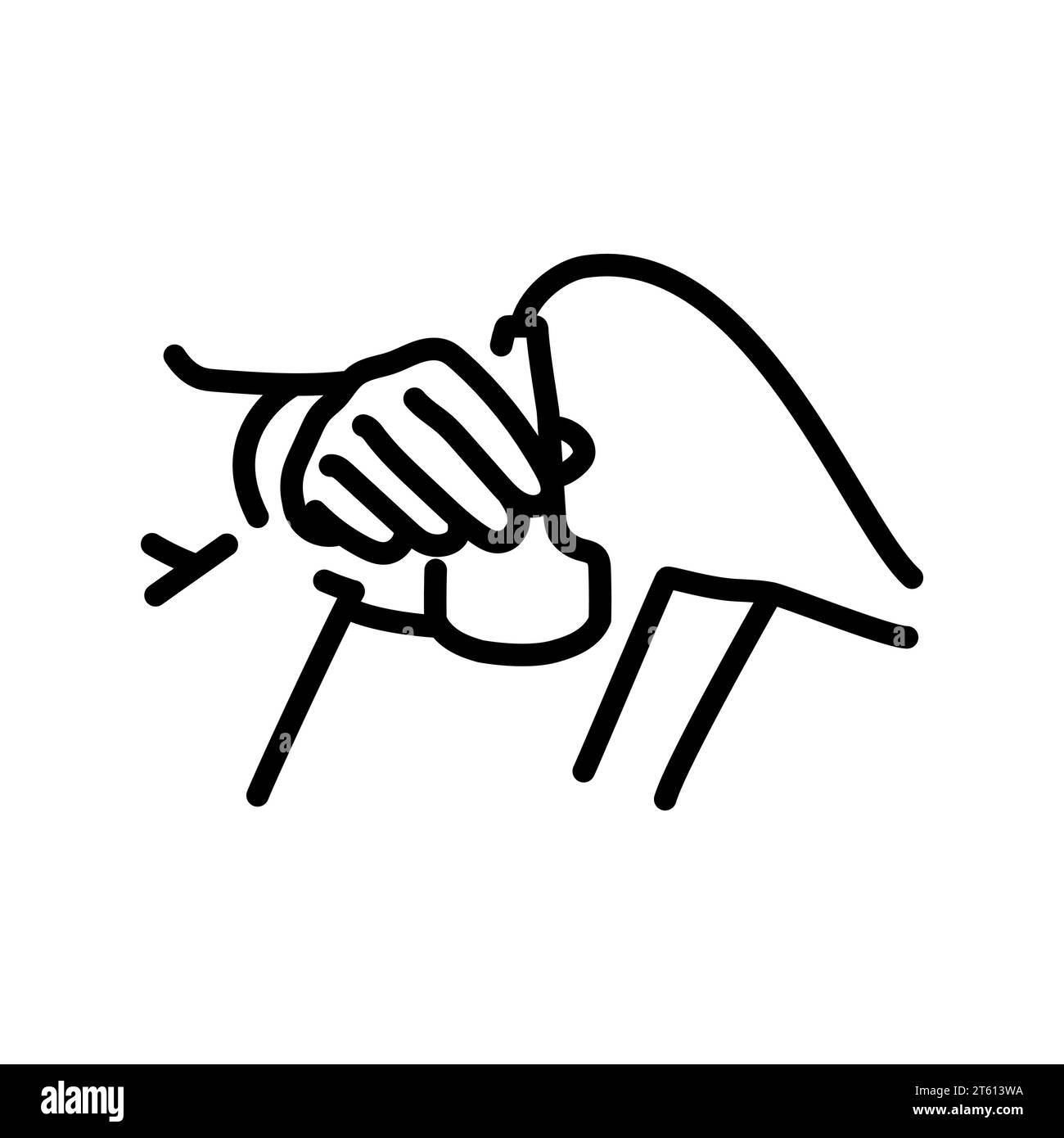 Abdominal sonography Immagini Vettoriali Stock - Alamy