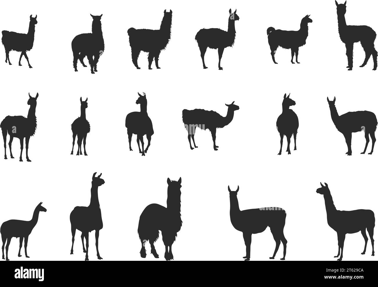 Lama animale Immagini Vettoriali Stock - Alamy