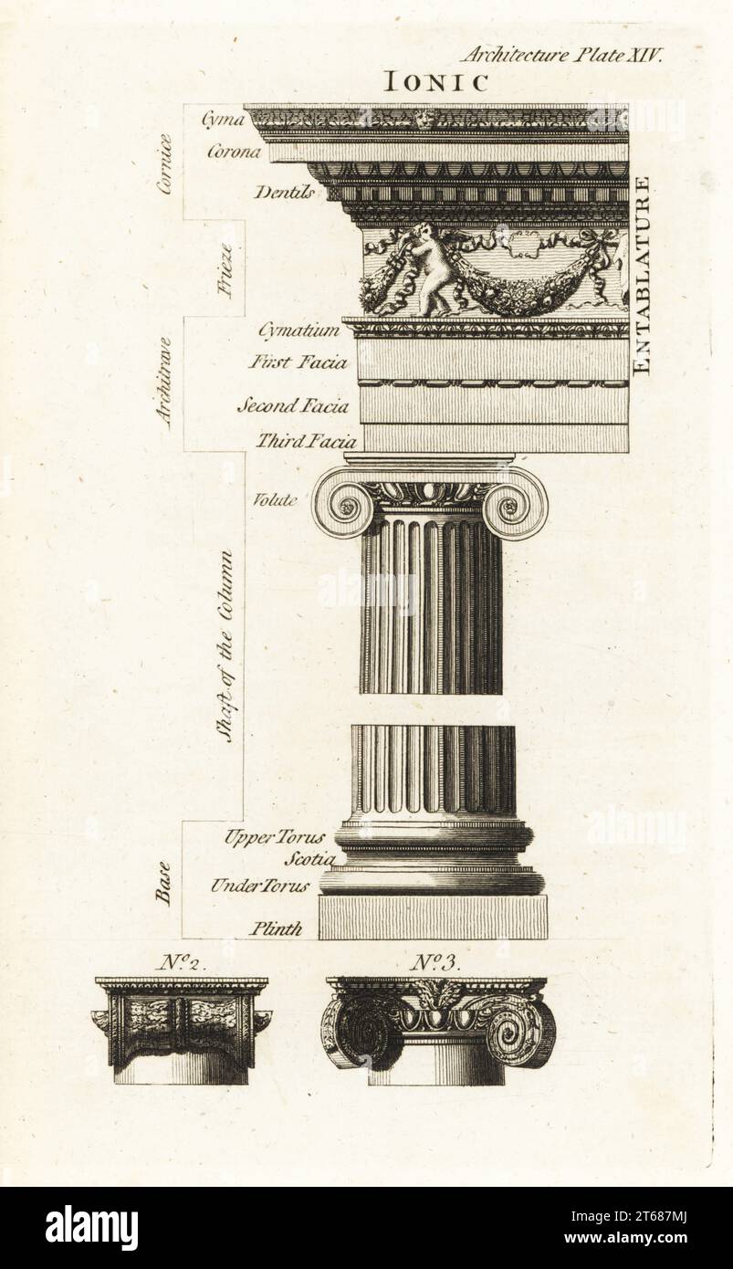 Ordine ionico dal Tempio di fortuna Virilis, Roma. Entablatura con ...