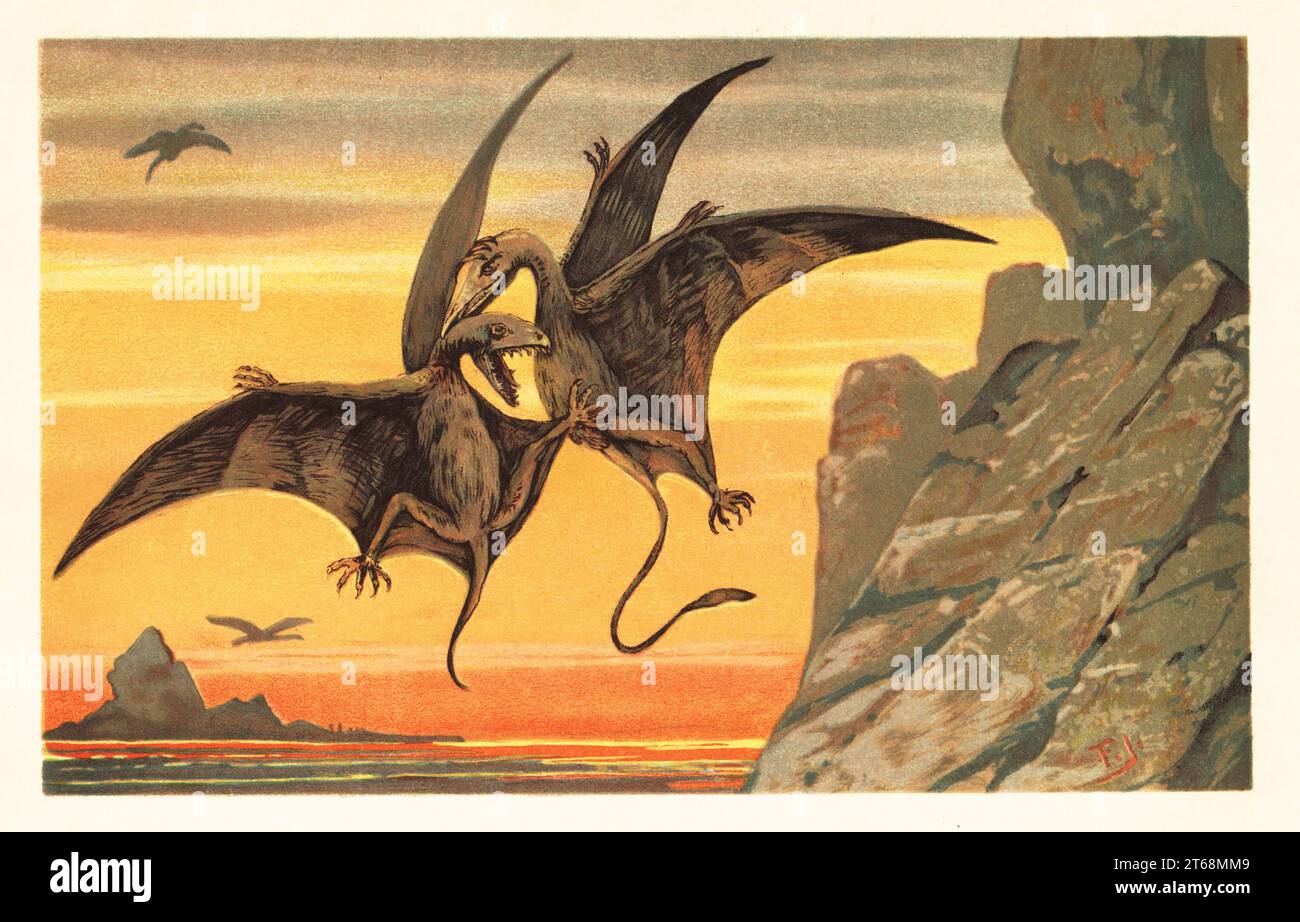 Fledermausahnliche pterodaktylen immagini e fotografie stock ad alta ...