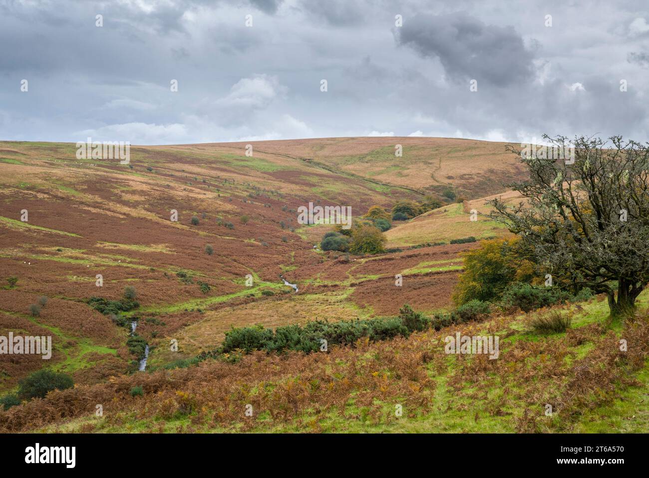 Paesaggi di pianura immagini e fotografie stock ad alta risoluzione - Alamy
