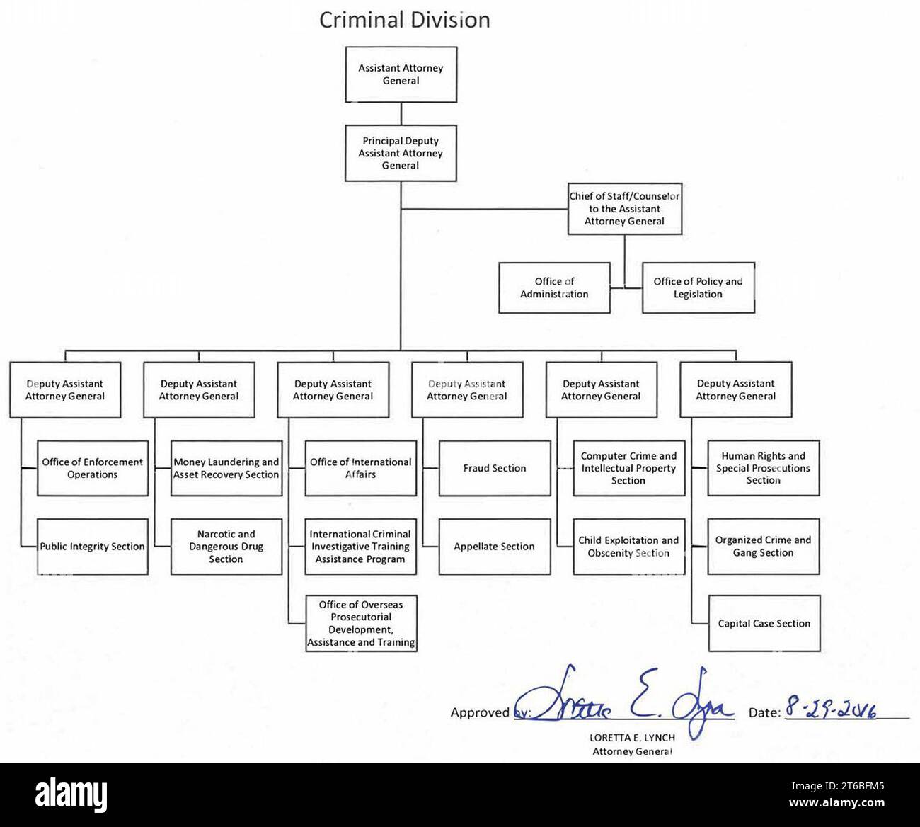 Org chart immagini e fotografie stock ad alta risoluzione - Alamy