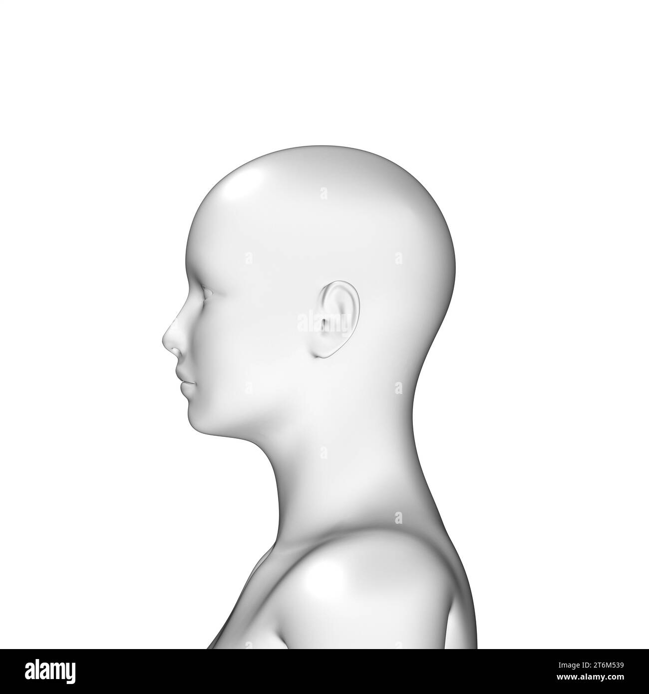 Human ear anatomy Foto e Immagini Stock in Bianco e Nero - Alamy