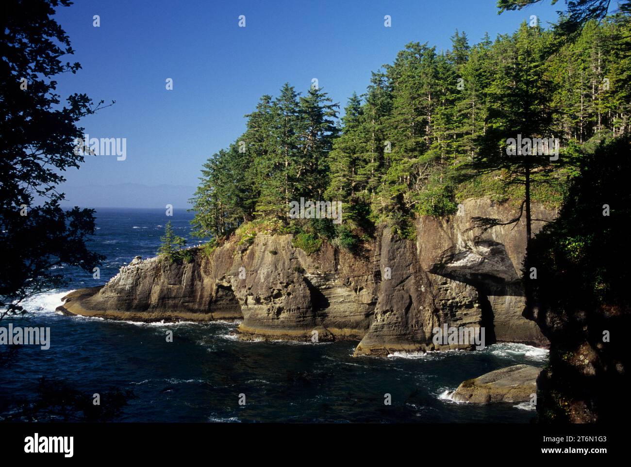 Makah reservation immagini e fotografie stock ad alta risoluzione - Alamy