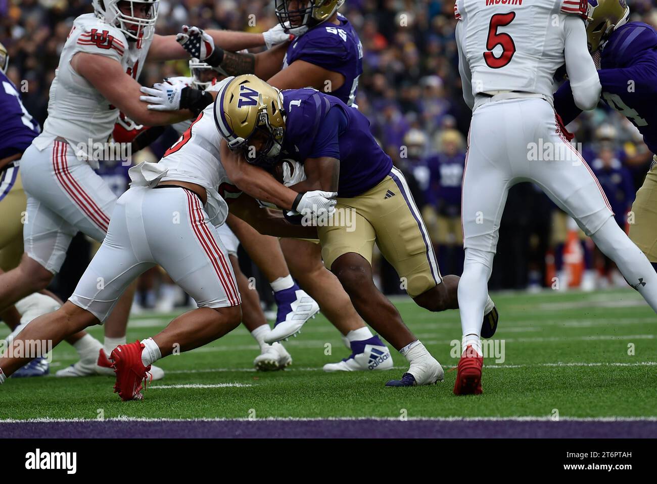11 novembre 2023: Il running back dei Washington Huskies Dillon Johnson ...