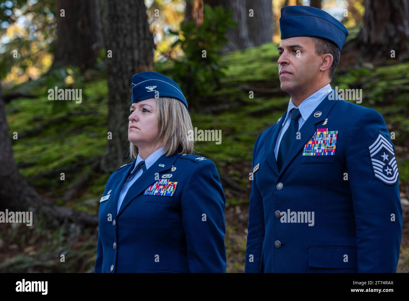 Chief master sergeant of the air force immagini e fotografie stock ad ...