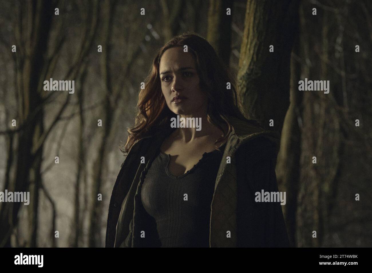 Rose villain immagini e fotografie stock ad alta risoluzione - Alamy