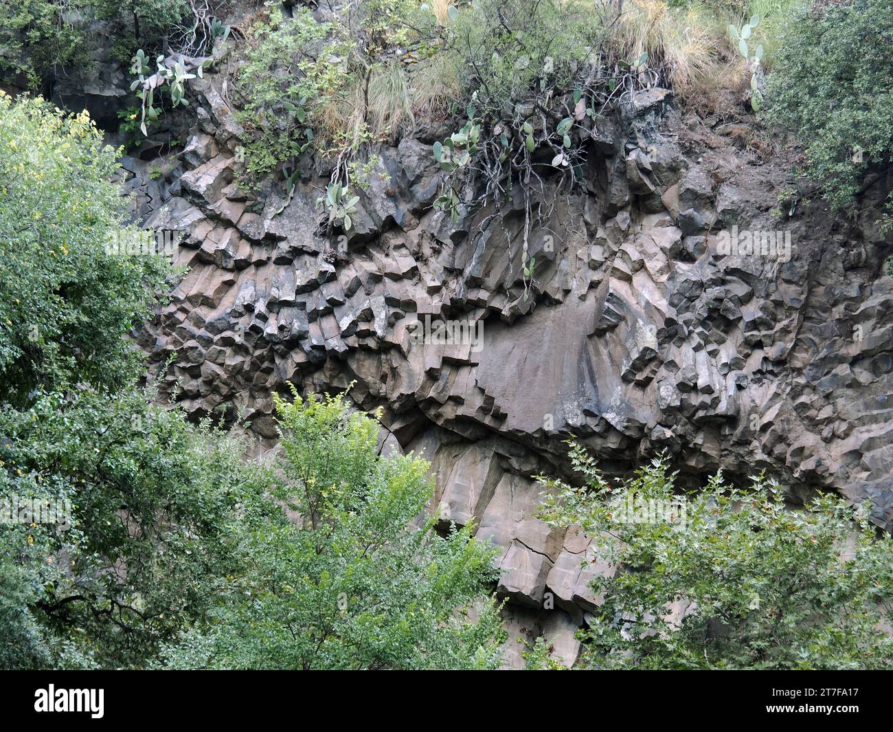Colonne basaltiche, Gole dell'Alcantara, Gole dell'Alcantara, Alcantara ...