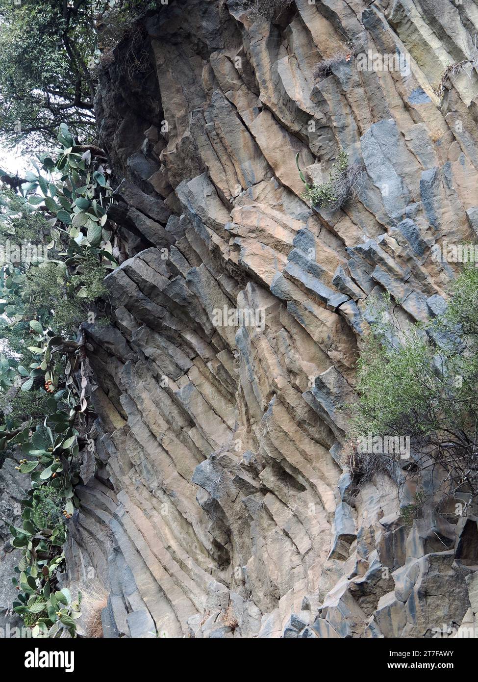 Colonne basaltiche, Gole dell'Alcantara, Gole dell'Alcantara, Alcantara ...