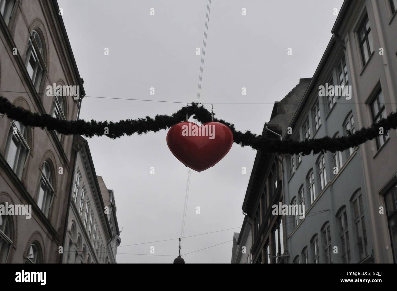 Copenhagen, Danimarca /17 novembre 2023/ decorazione natalizia e stelle ...