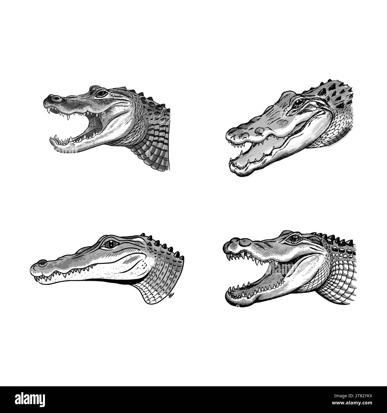 Lizard head wilderness Immagini Vettoriali Stock - Alamy