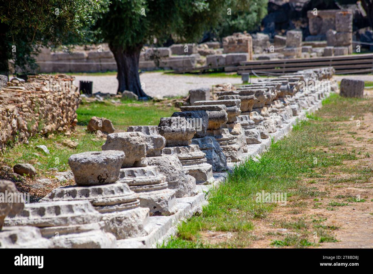 Olimpiadi antiche grecia immagini e fotografie stock ad alta ...