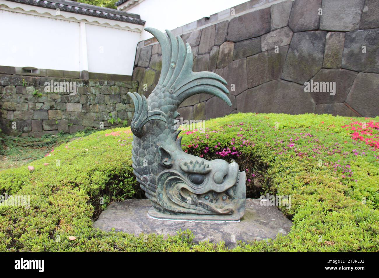 Delfino stilizzato immagini e fotografie stock ad alta risoluzione - Alamy