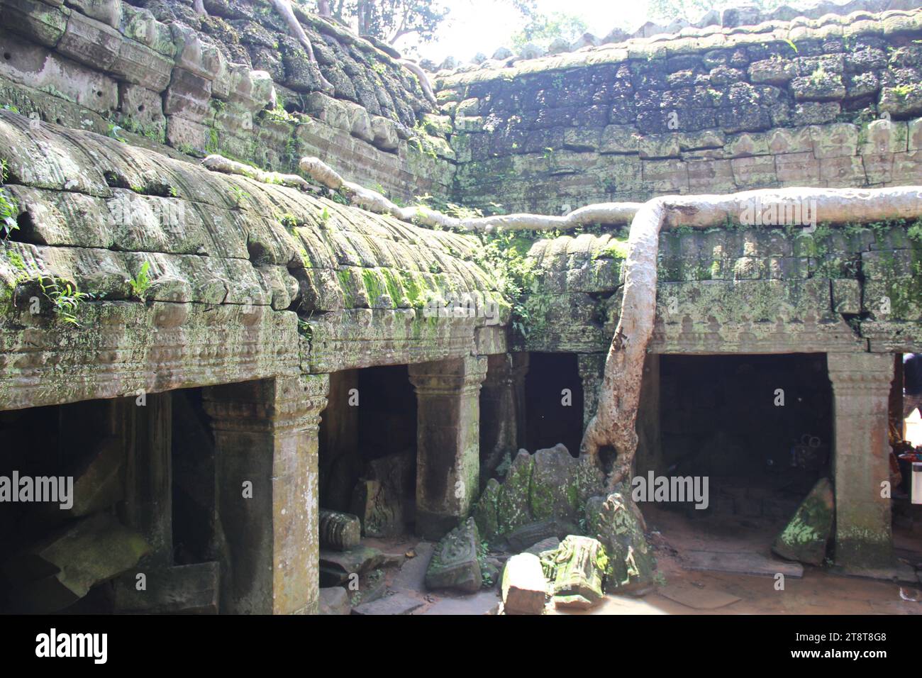 TA Prohm, tempio Khmer, antica zona di Angkor, Cambogia. Regno di ...