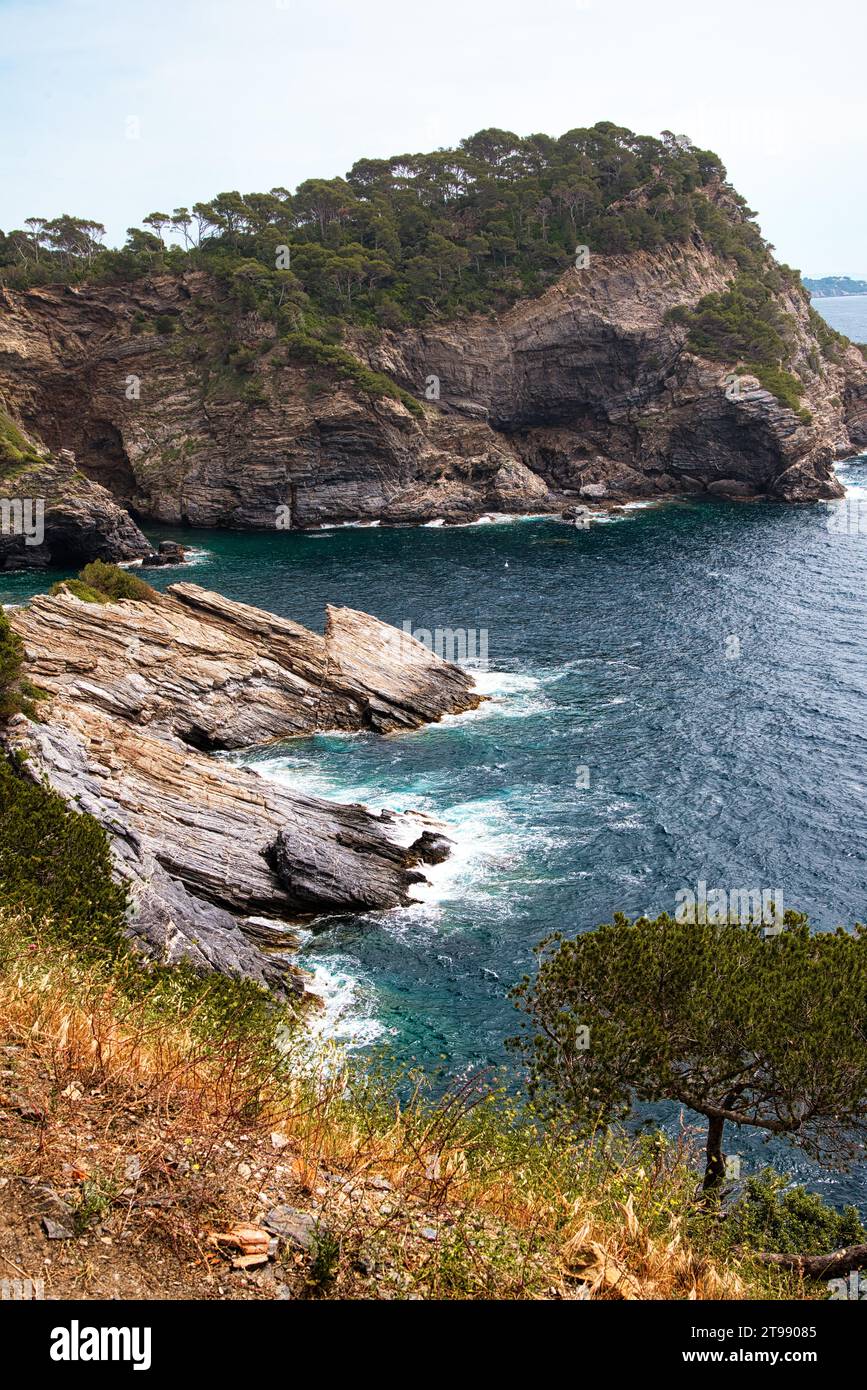 le bord de mer dans la partie ouest de la presquile de Giens ...