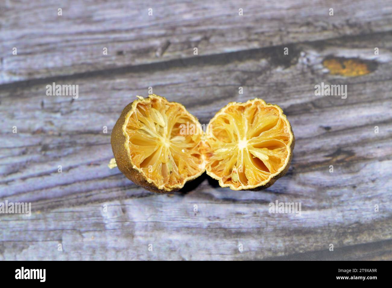 Limone con muffa, muffa è una delle strutture che certi funghi possono ...