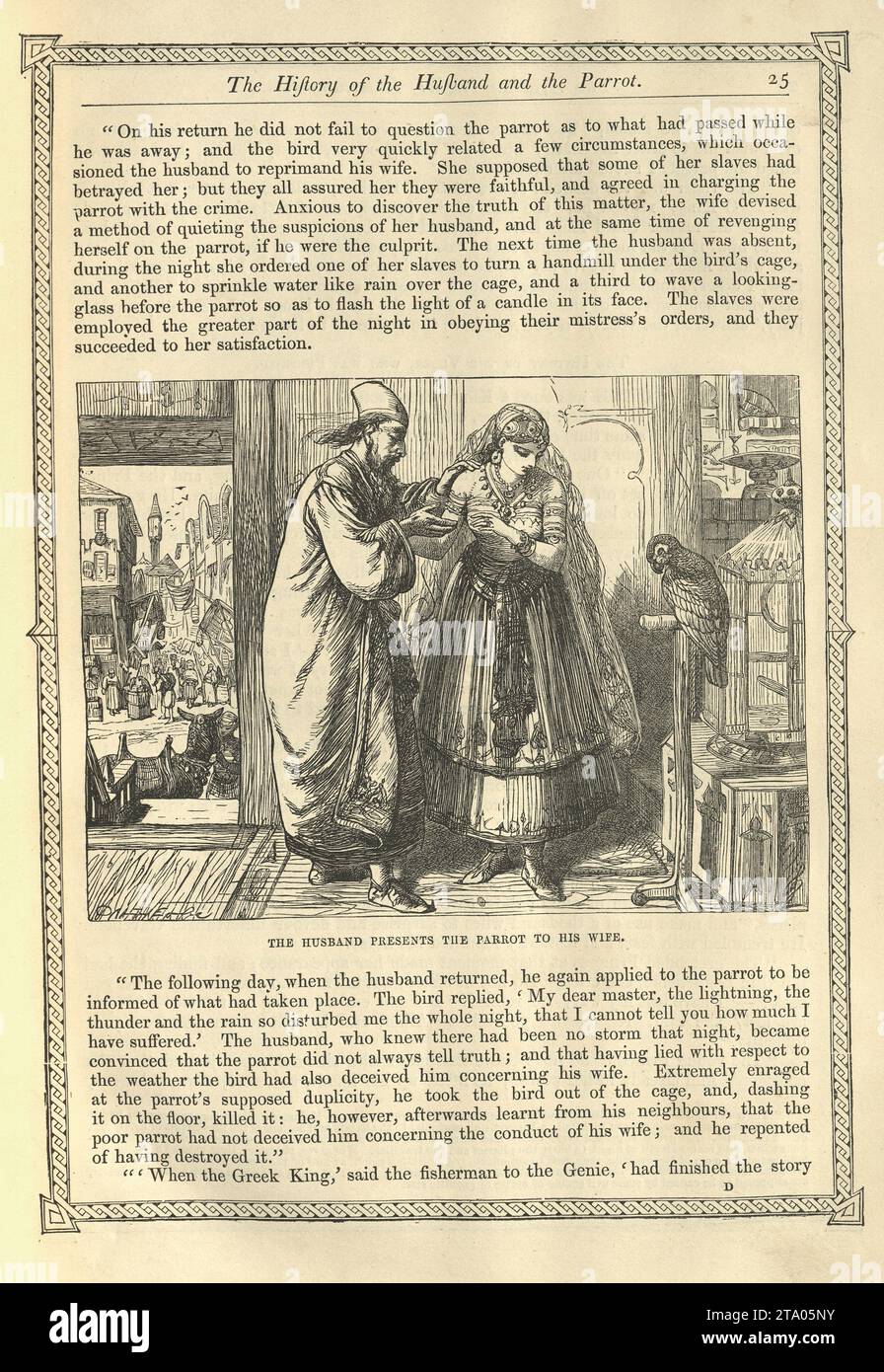 Illustrazione d'epoca mille e una notte, marito presenta il pappagallo ...