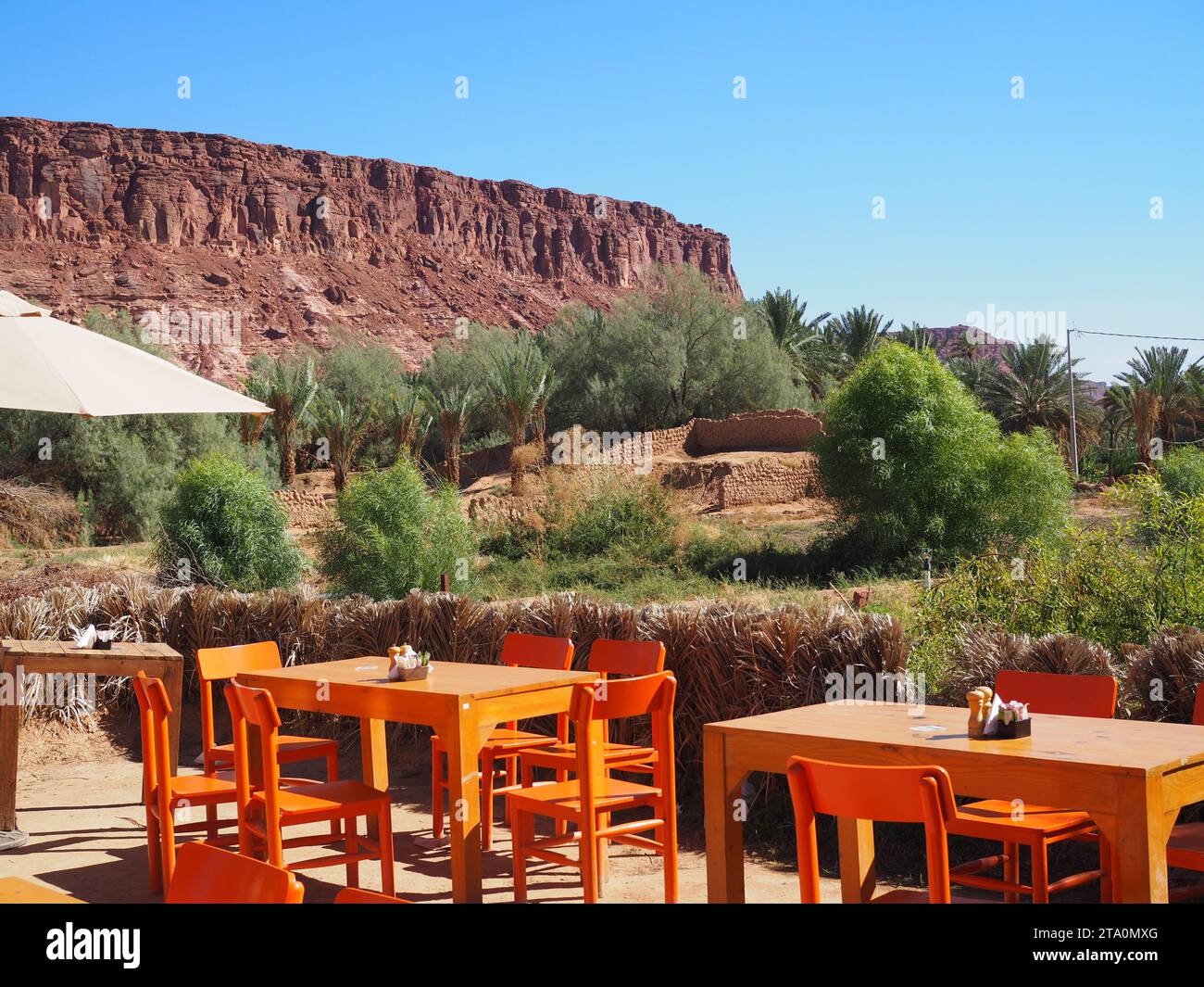 Arabia alula open immagini e fotografie stock ad alta risoluzione - Alamy