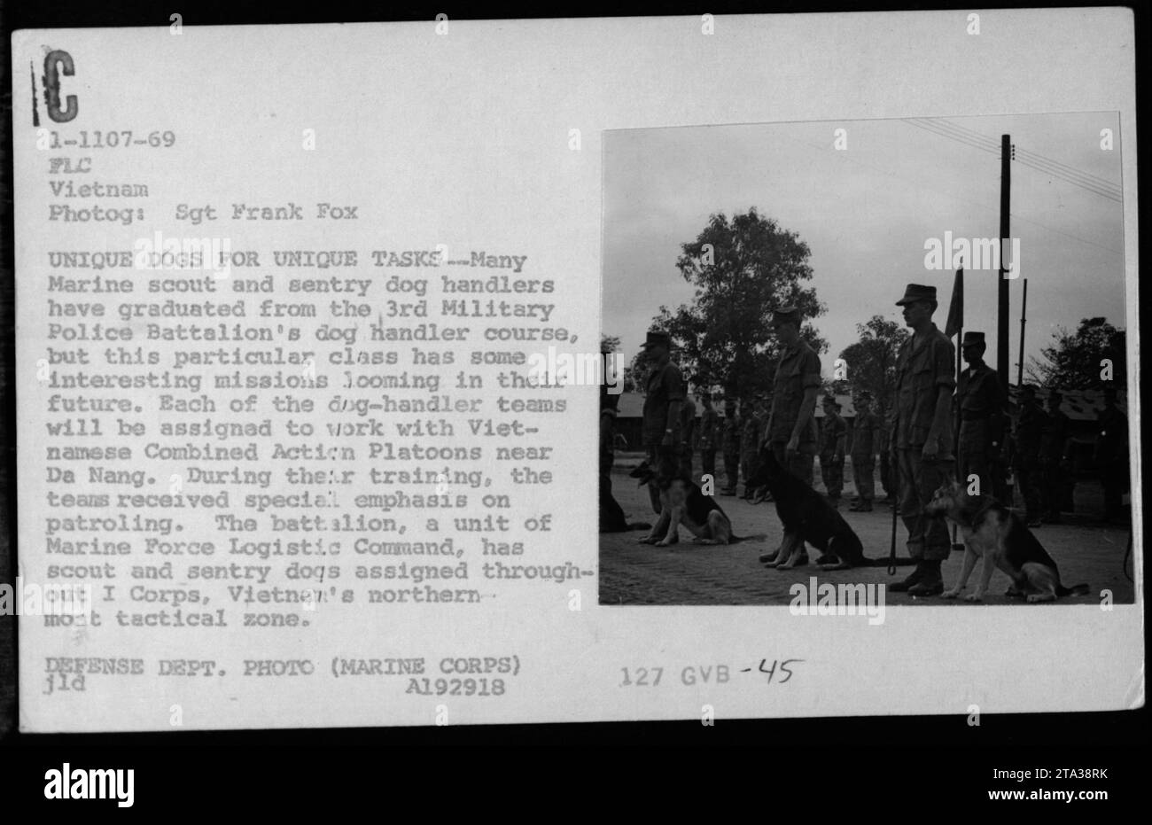 Plotoni militari immagini e fotografie stock ad alta risoluzione - Alamy