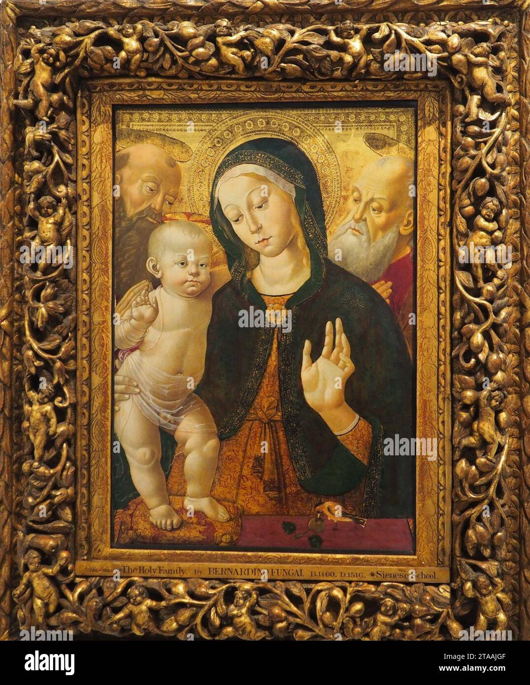 La vergine e il bambino con due santi immagini e fotografie stock ad alta risoluzione - Alamy