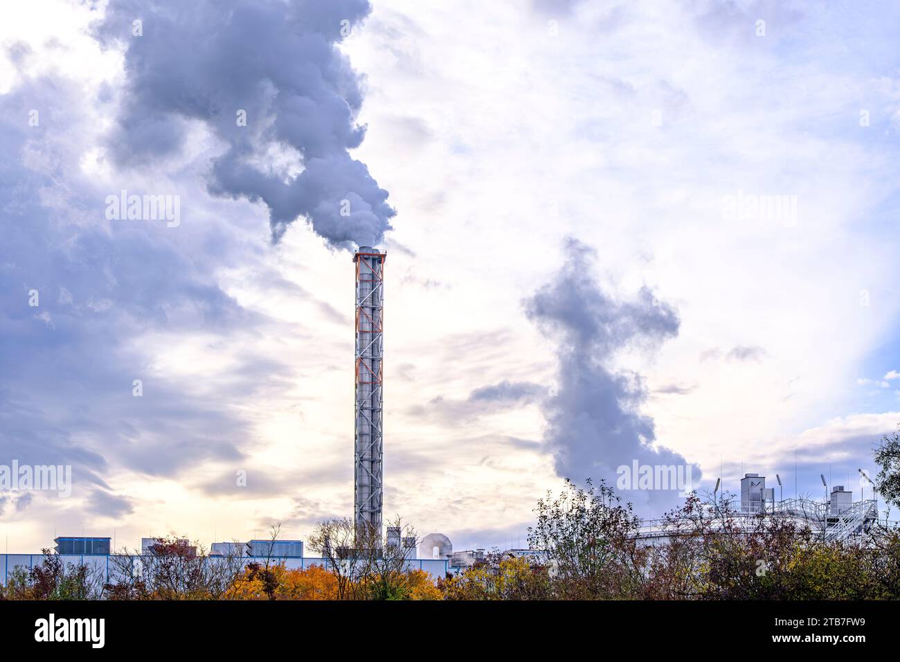 Emissioni di un camino di un impianto industriale, Paper Mill Sappi ...