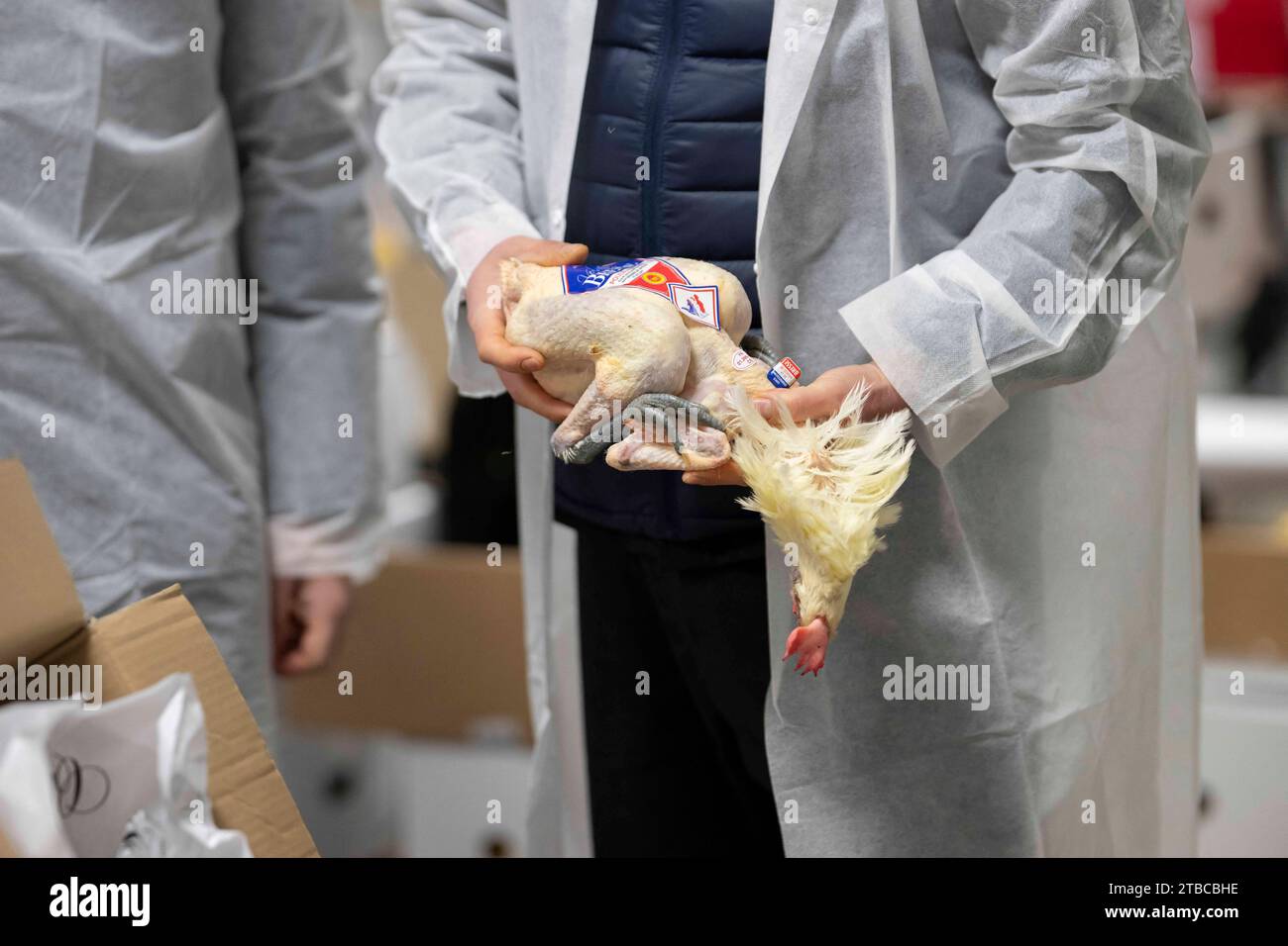 Questa fotografia mostra un dipendente che lavora con il pollame Bresse ...