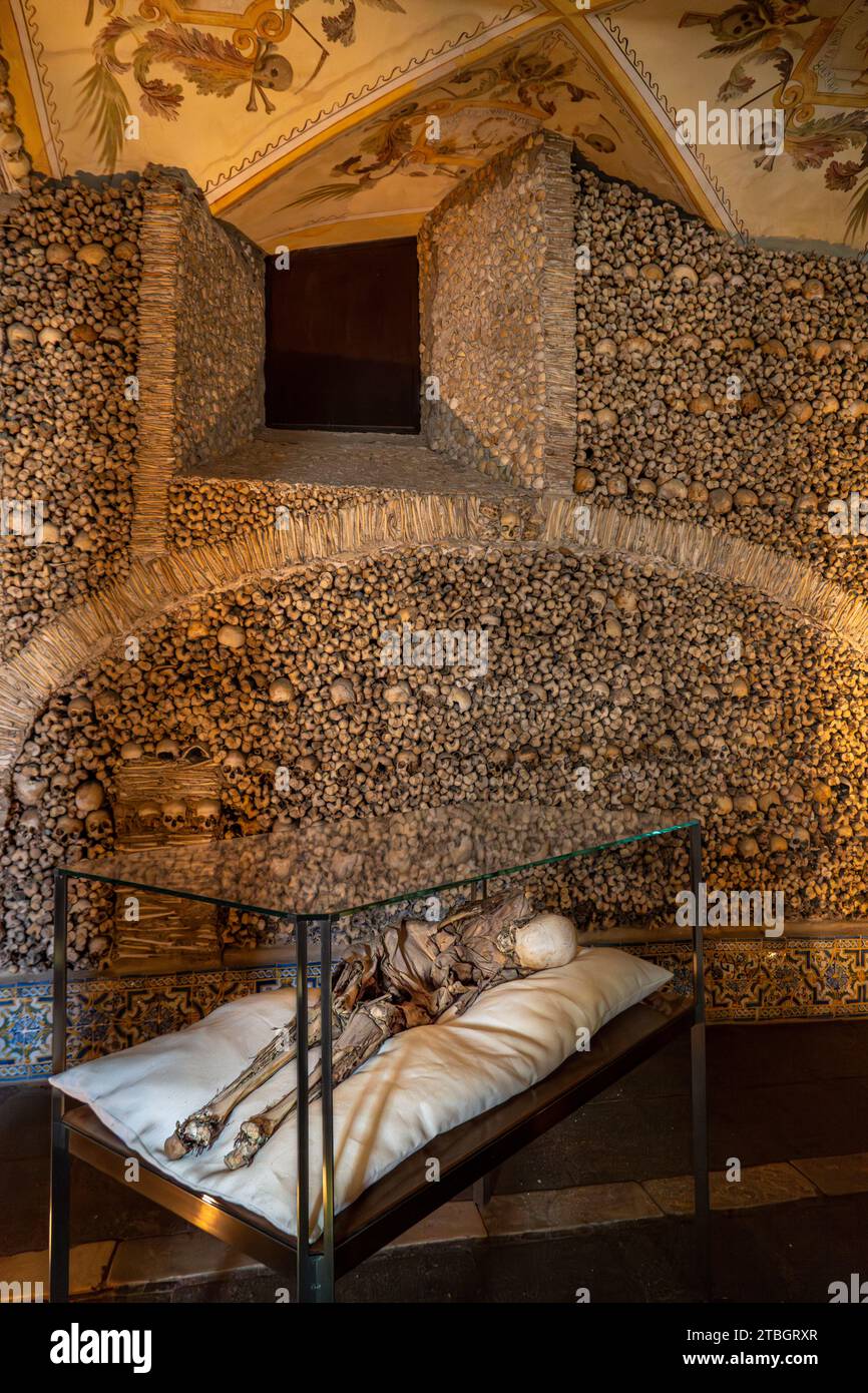 La mummia di un cadavere di scheletro umano in un'urna funeraria con il ...