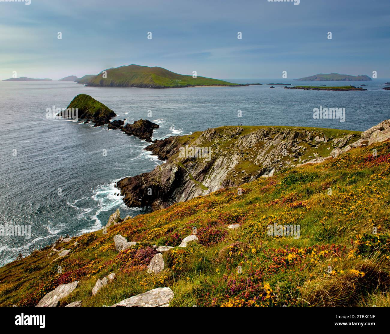 Isole di blasket dalla testa di dunmore immagini e fotografie stock ad ...
