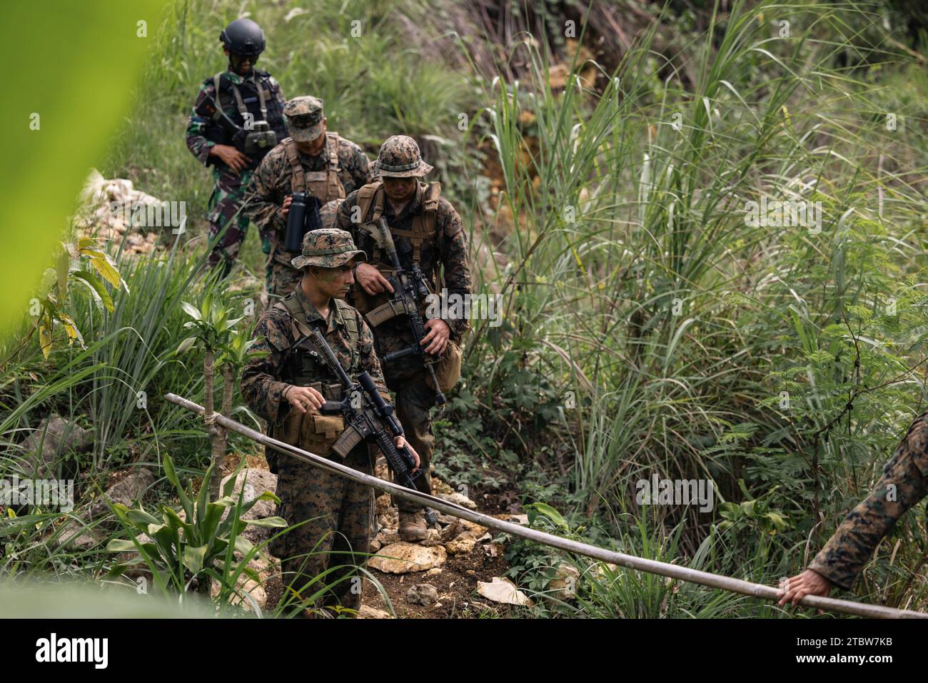 I Marines statunitensi con 1st Battalion, 7th Marine Regiment ...