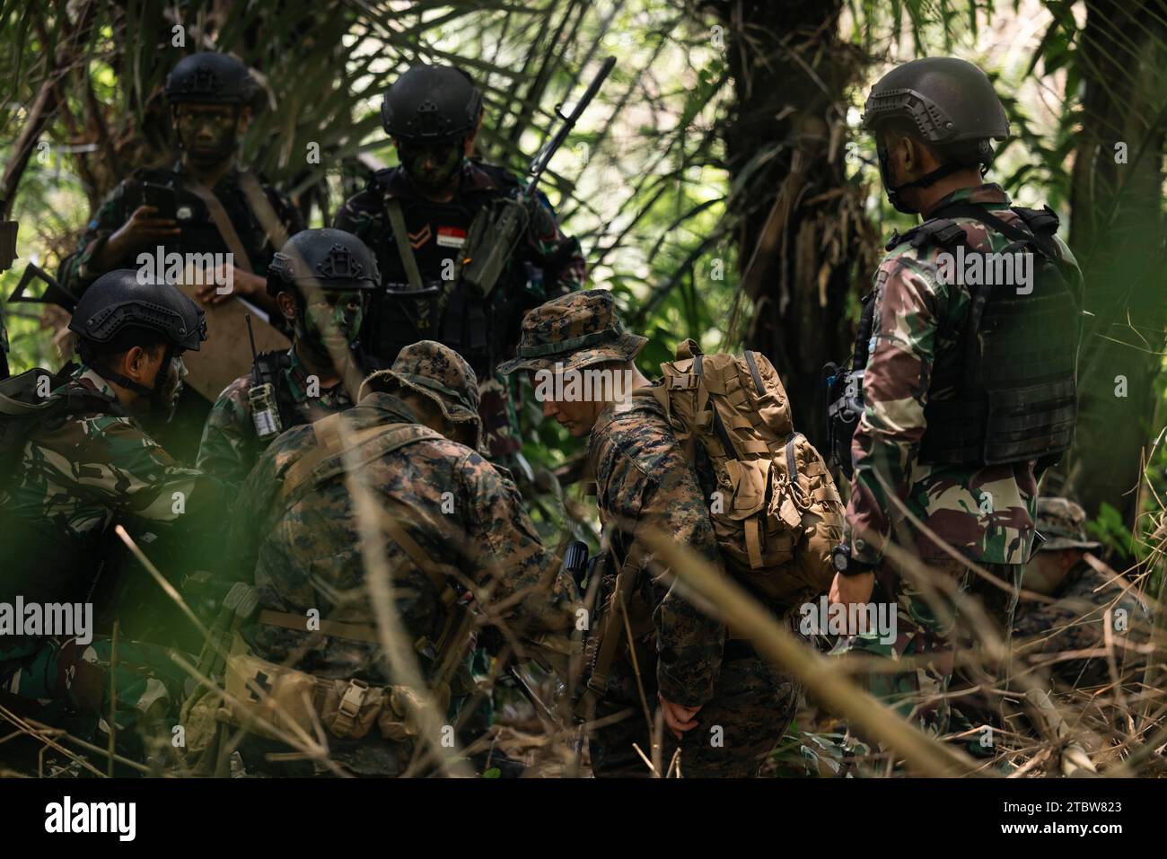 U.S. Marines with 1st Battalion, 7th Marine Regiment, attached to ...