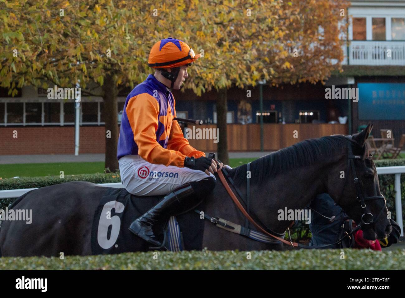 Ascot, Regno Unito. 25 novembre 2023. Il cavallo guidato da un fantino ...