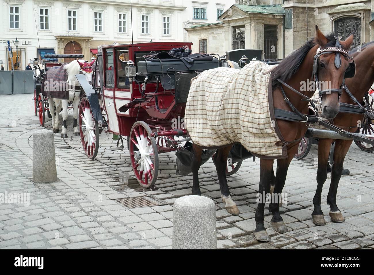 Cavallo e carrozza a noleggio immagini e fotografie stock ad alta ...