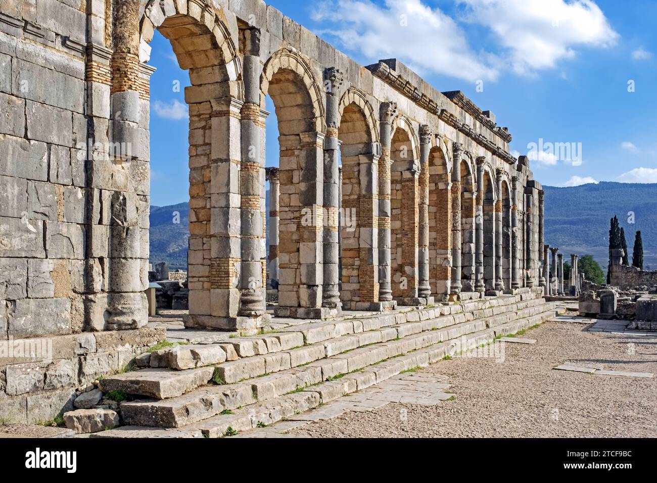 Mura esterne ad arco della basilica di fronte a colonne a Volubilis, città berbera-romana dell ...