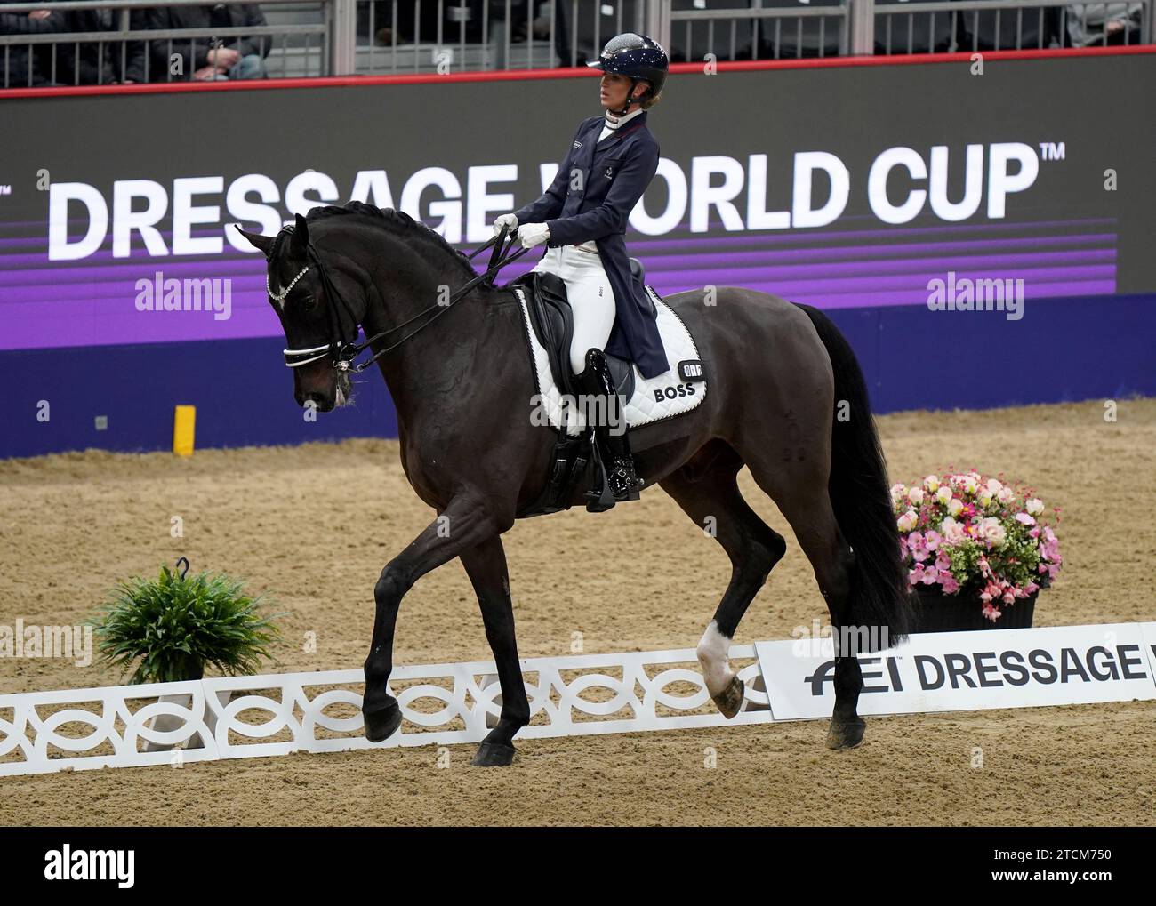 Signore donnerhall ii vecchio immagini e fotografie stock ad alta ...