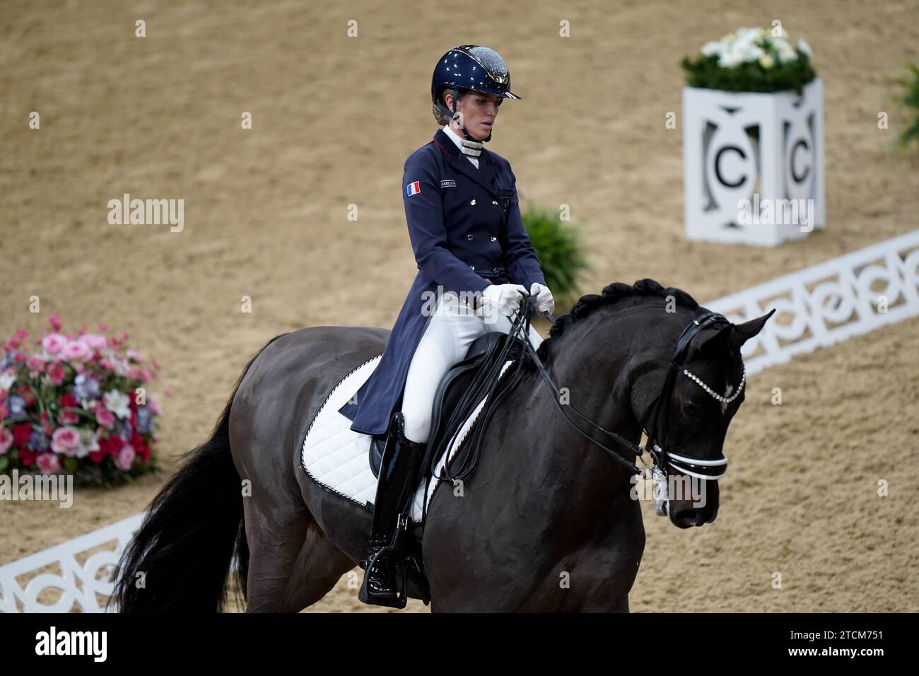 Signore donnerhall ii vecchio immagini e fotografie stock ad alta ...