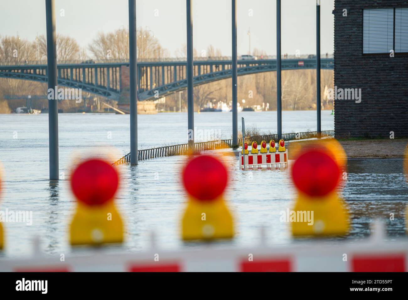 16 dicembre 2023, Renania-Palatinato, Magonza: L'area della riva del ...