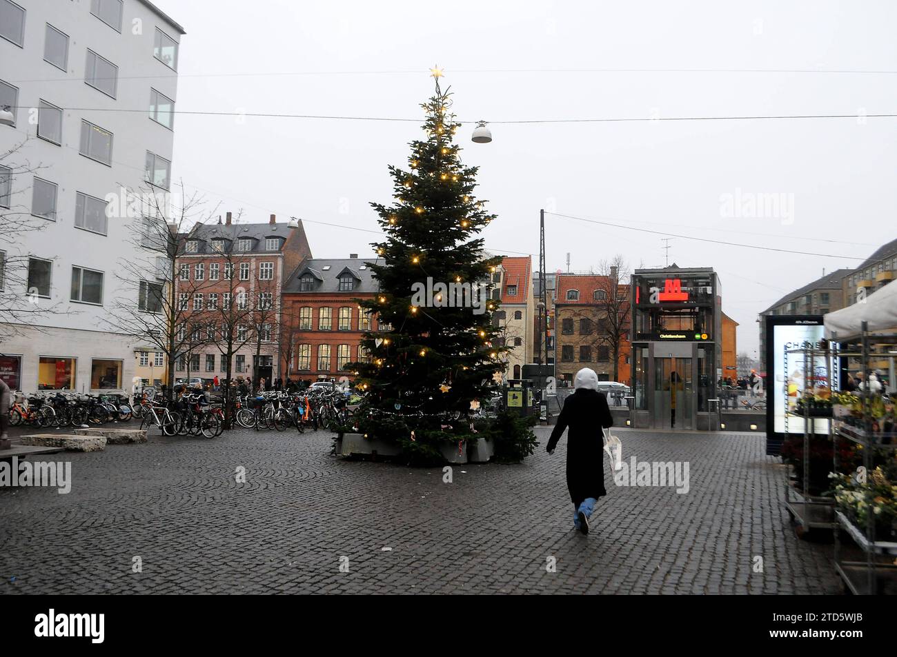 Copenhagen, Danimarca /16 dicembre 2023/. Albero di Natale collocato a ...