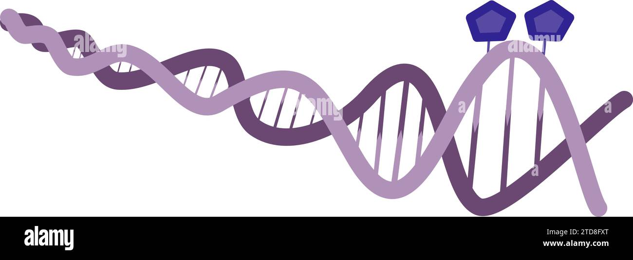 Metilazione del dna immagini e fotografie stock ad alta risoluzione - Alamy