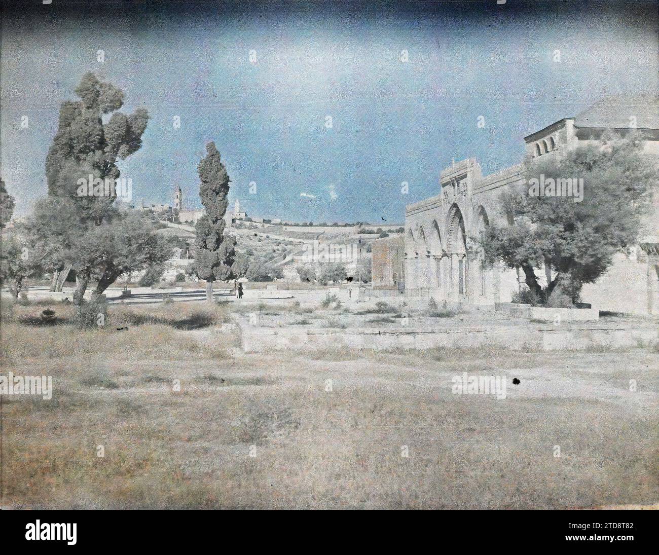 Gerusalemme, Israele, Palestina la moschea di el Aksa e il Monte degli ...